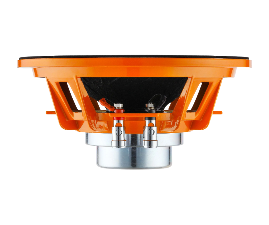 Medio rango SP AUDIO SP-8MM NEO Neodimio 8" Pulgadas – APOLO AUDIO